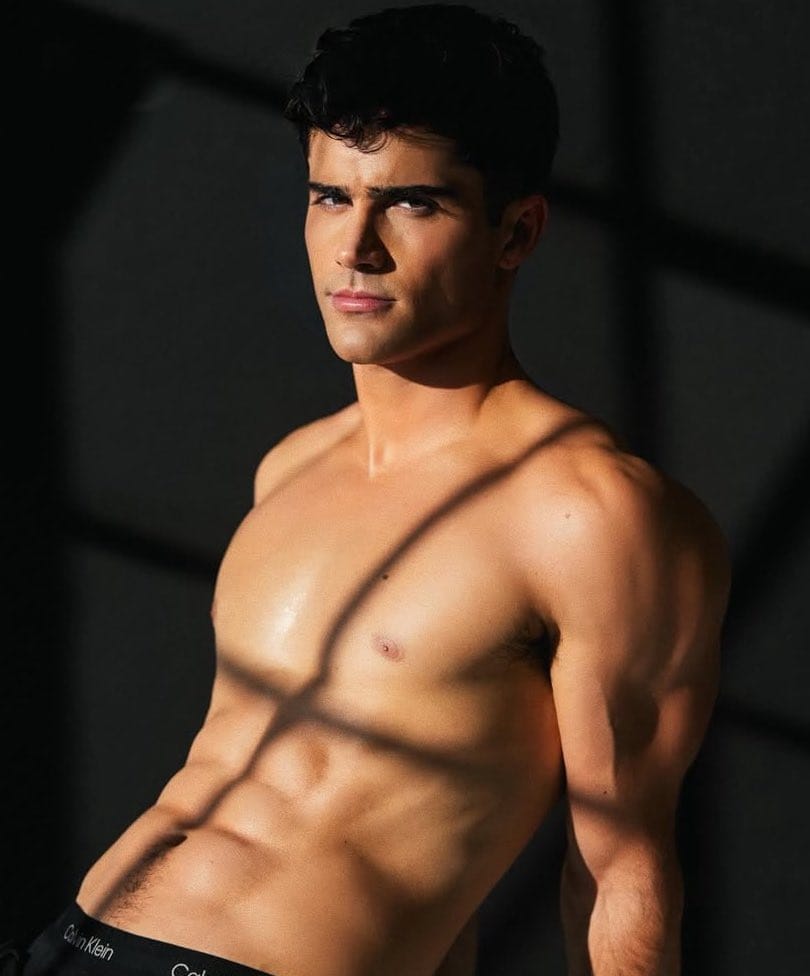 Demi-Lovato's Ex-fiancé, Max Ehrich's Pictures Leaked After Instagram ...